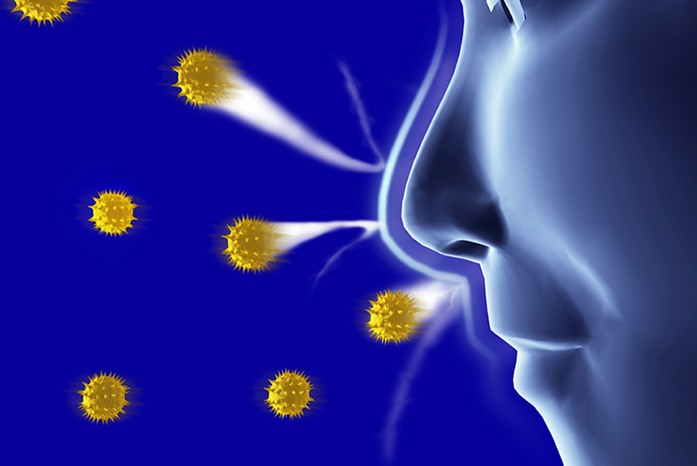 Achoo Alert | My Little Bird