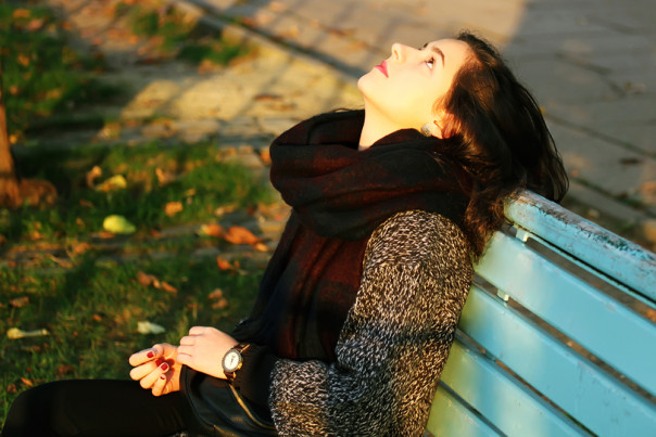 Stay Calm and Keep Still | My Little Bird